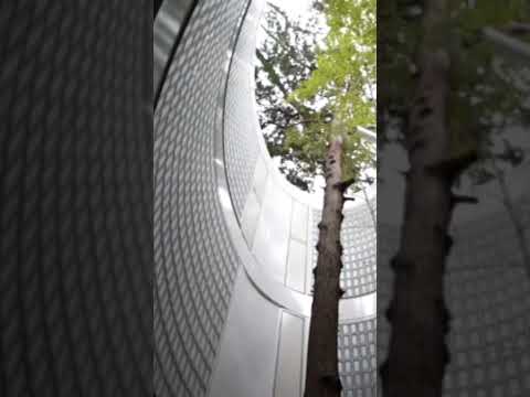 Shigeru Ban's Solution for Building Around Trees