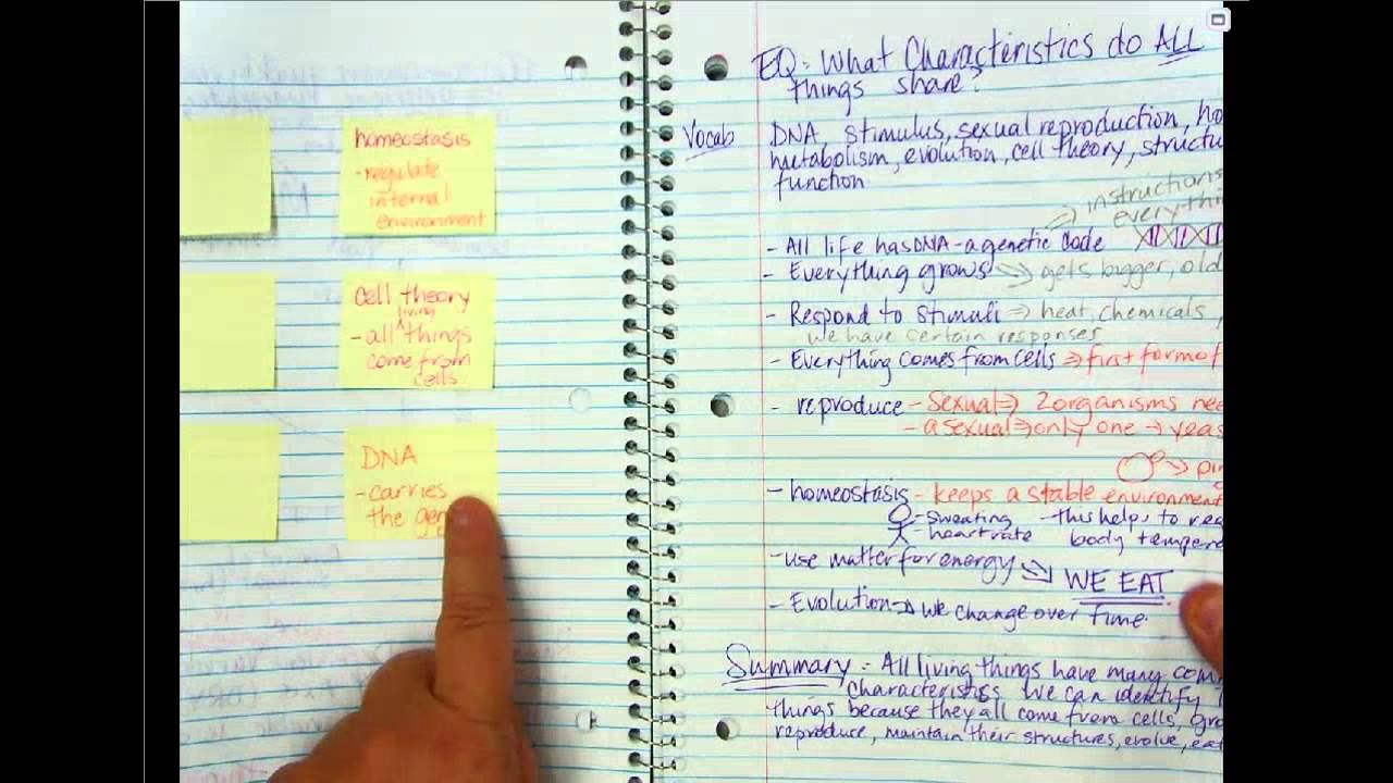 Cornell Notes, Science Notebook