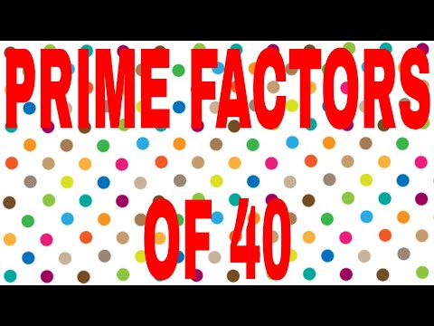 Prime factors of 40