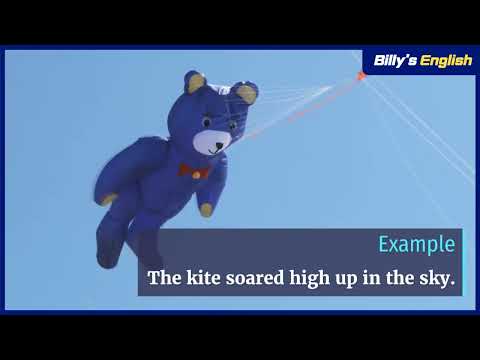 soar | Meaning & Examples