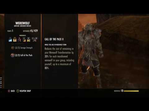 Behemoth // Werewolf PvP // Build for no CP / SOLO — Elder Scrolls Online