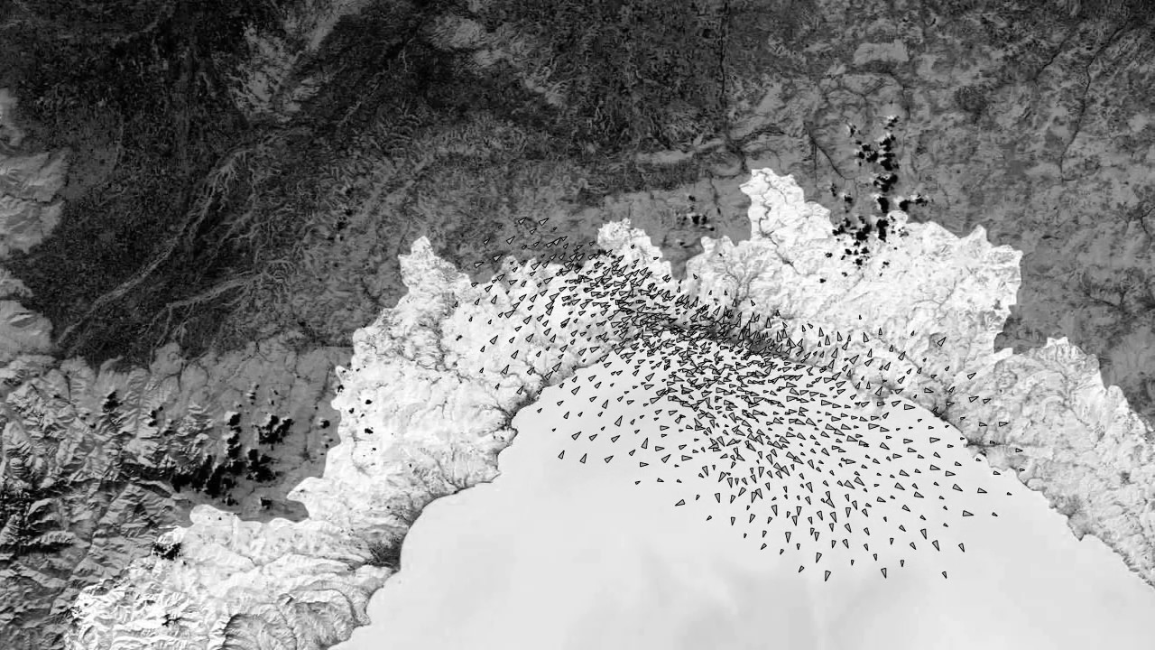 Flocking Boids Data Visualization