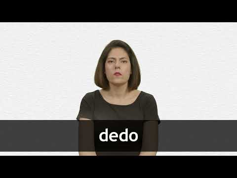 English Translation of “DEDO” | Collins Spanish-English Dictionary