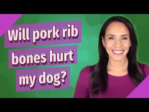 Will pork rib bones hurt my dog?