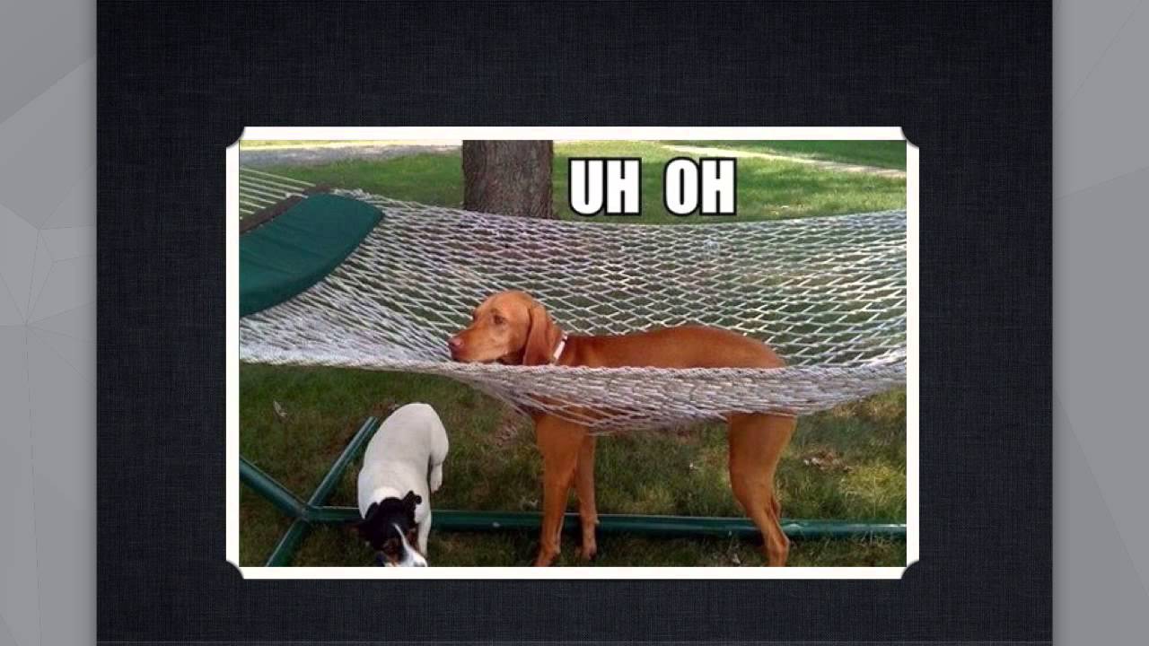 Five Lessons to Electrify Gradle Plugins