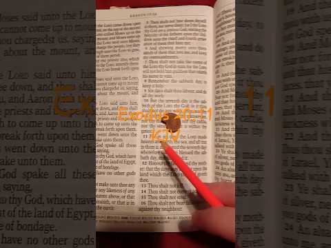 God made everything in 6 days! Exodus 20:11 KJV Reference Scripture #bible #religion