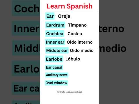 Spanish Vocabulary: Parts of the Ear #spanishlanguage