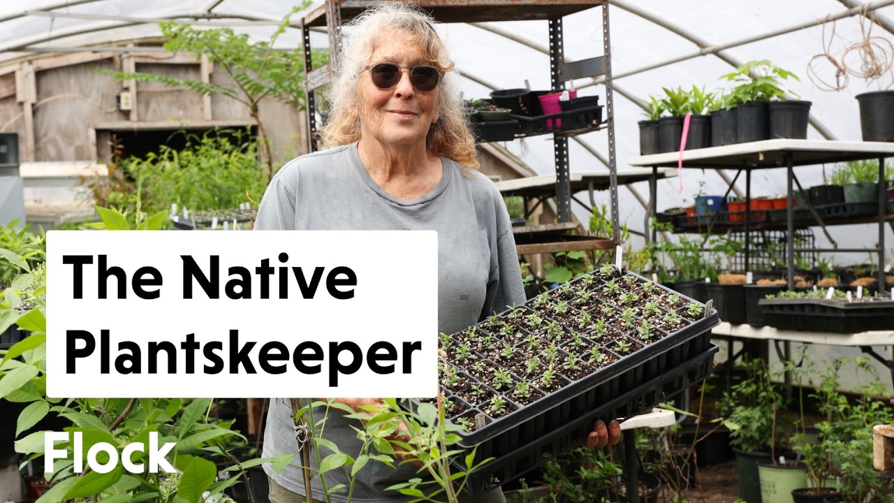 She's WILD About NATIVE PLANTS — Ep. 364
