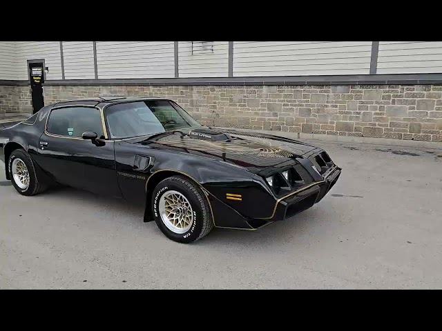 1981 Pontiac Firebird Trans Am BANDIT / FITECH EFI 383ci / 450HP ...