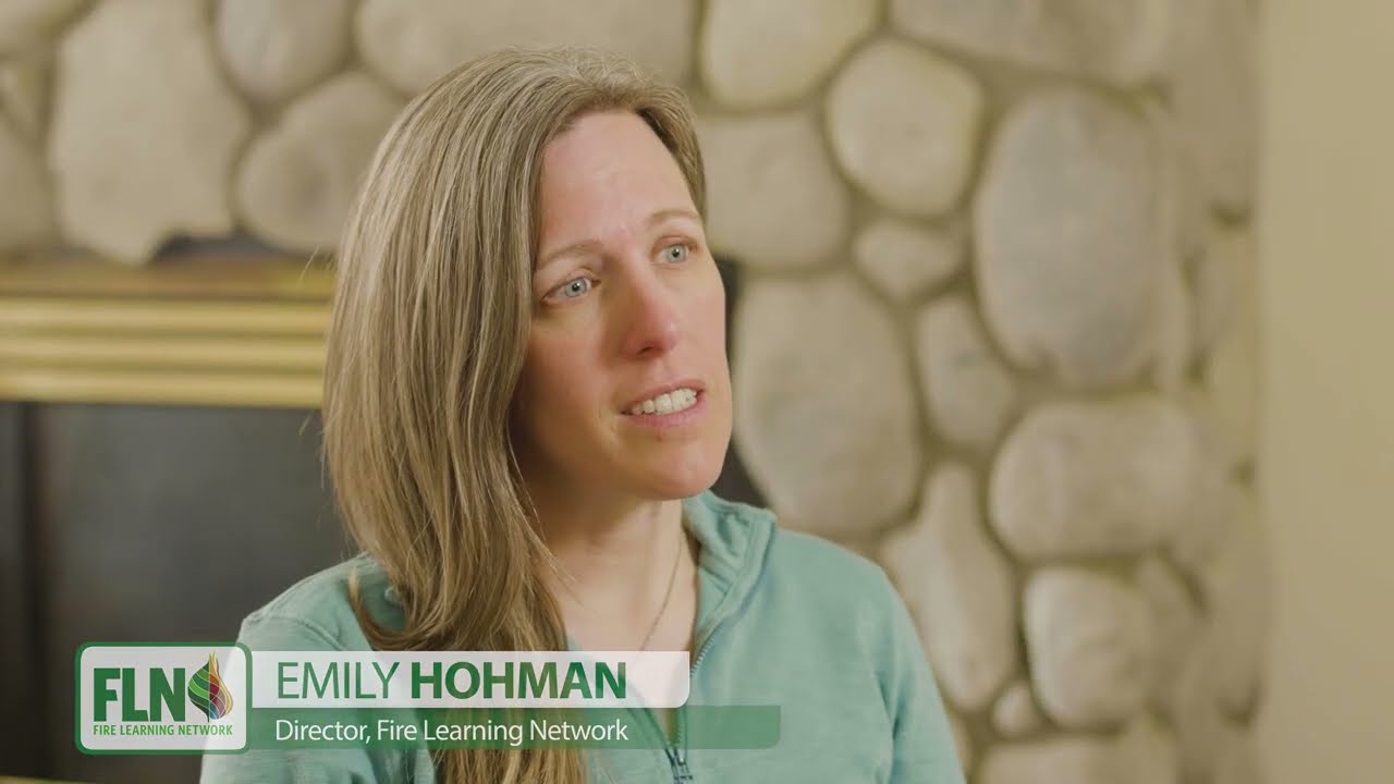 Introduction to the Fire Learning Network