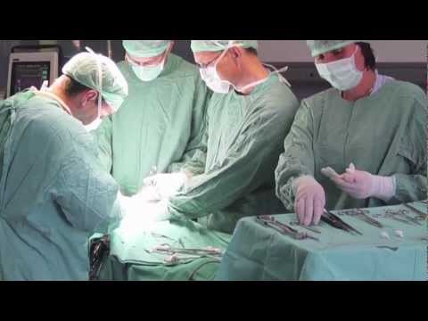 1000 Lives Plus Student Chapter - What is Quality Improvement? (Part 1)