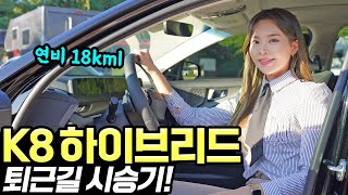 더 뉴 K8(GL3) 동영상 : 다나와 자동차