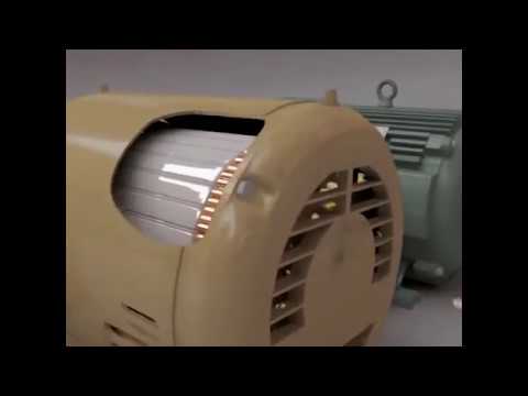 TEFC Motor - TEFC Electric Motors Latest Price, Manufacturers & Suppliers