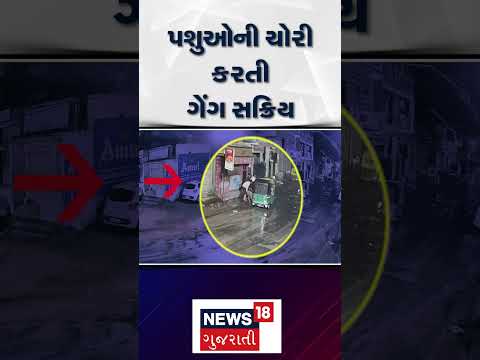 Surendranagar Crime | પશુઓની ચોરી કરતી ગેંગ સક્રિય | Gujarat | Gujarati News | News 18 Gujarati|N18S