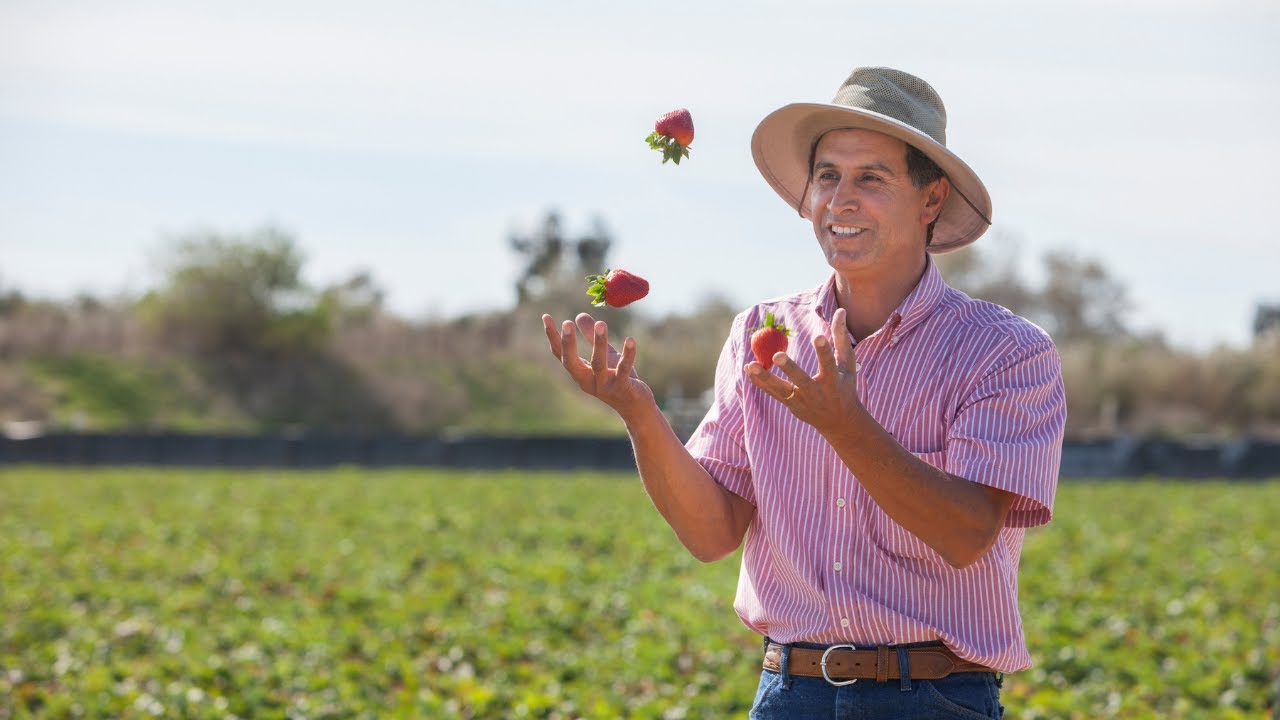 Strawberry Farmers | Strawberry Farmer Stories | California Strawberries