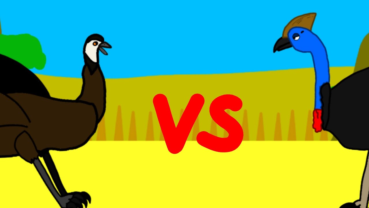 Cassowary vs Emu