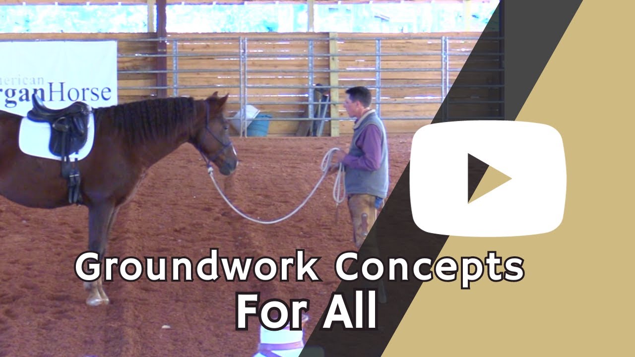 Groundwork Concepts For All Horses