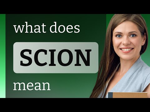 Scion | meaning of SCION