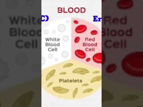 know other names of RBC, WBC, Platelets #youtubeshorts #circulatorysystem