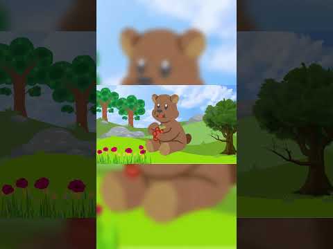 Fun Words That Start with B for Kids and Toddlers Learn the Alphabet with Exciting 'B' Words