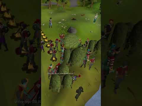 Bots Have Ruined the Integrity of the Hiscores #gaming #runescape #osrs #bots #saebaecast