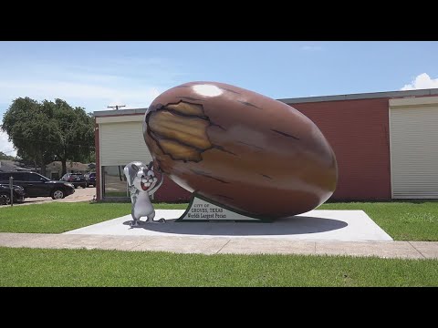 'Go big or go home' | City of Groves goes for Guinness World Record with 17-Foot pecan statue