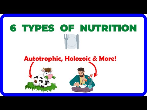 6 TYPES of NUTRITION: Autotrophic, Holozoic, Saprophytic