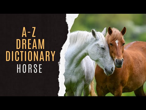 🐎Horse Dream Dictionary | Dreaming Of Horse Spiritual Meaning | Dreaming Of Horse Interpretation