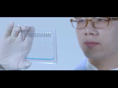 10-min Complete Protein Transfer with Excellent Transfer Efficiency