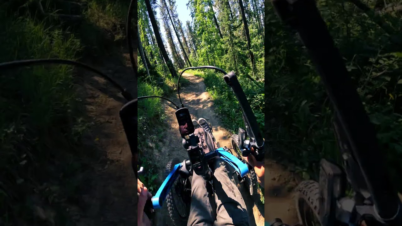 BOWHEAD™ RX ADVENTURE-E BIKE #shorts