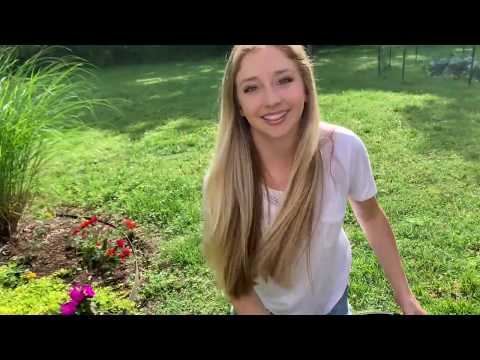 How to Plant an Urban Garden
