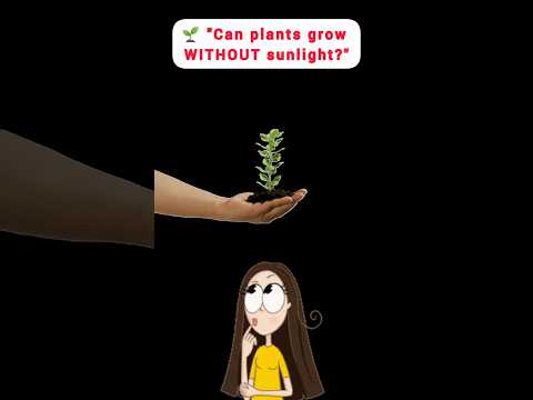 Can Plants Grow Without Sunlight? | Surprising Science Experiment!