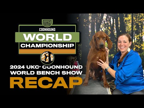 2024 UKC Coonhound World Bench Show Recap