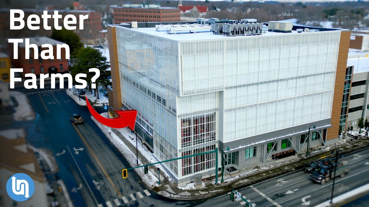 Why This Vertical Farm is 500x More Efficient Than Farming