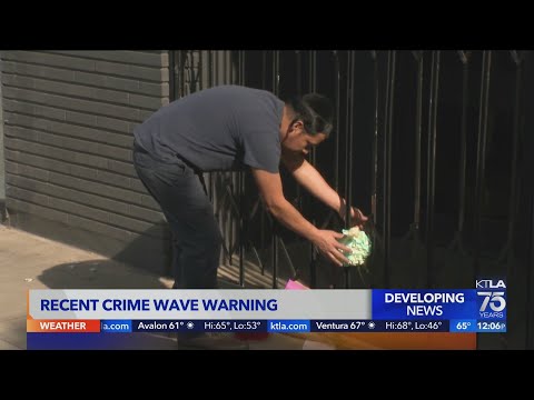 Recent L.A. crimes involving transients prompt concern