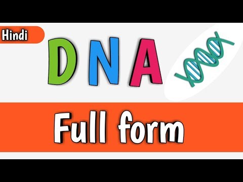 DNA Full form in Hindi