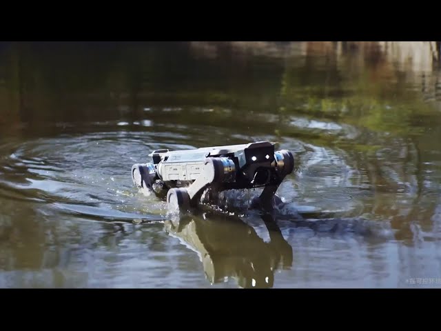 Le chien robot M1 de Genisom sait nager et est prêt