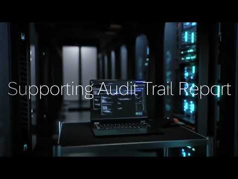 Audit Trail Report in SAP Business One SP2408