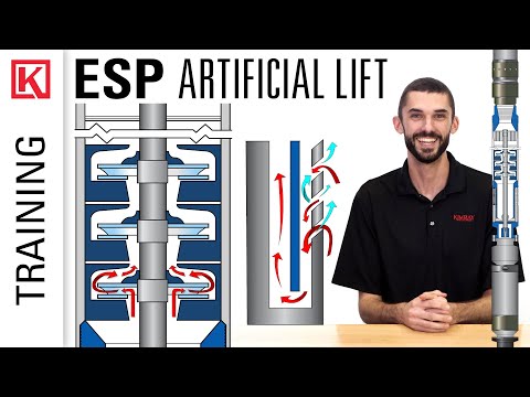 Artificial Lift: Electric Submersible Pumps (ESP) in Oil & Gas Systems