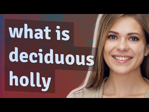 Deciduous holly | meaning of Deciduous holly