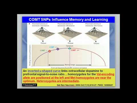 Treating COMT and MAO - How COMT Influences the Brain