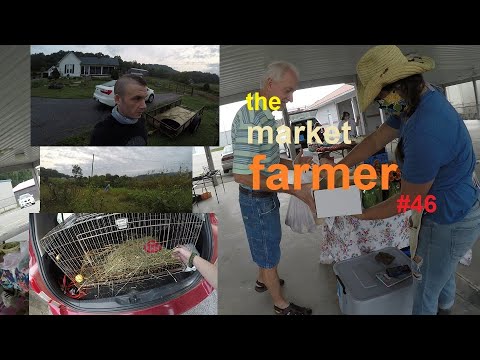 the farming market