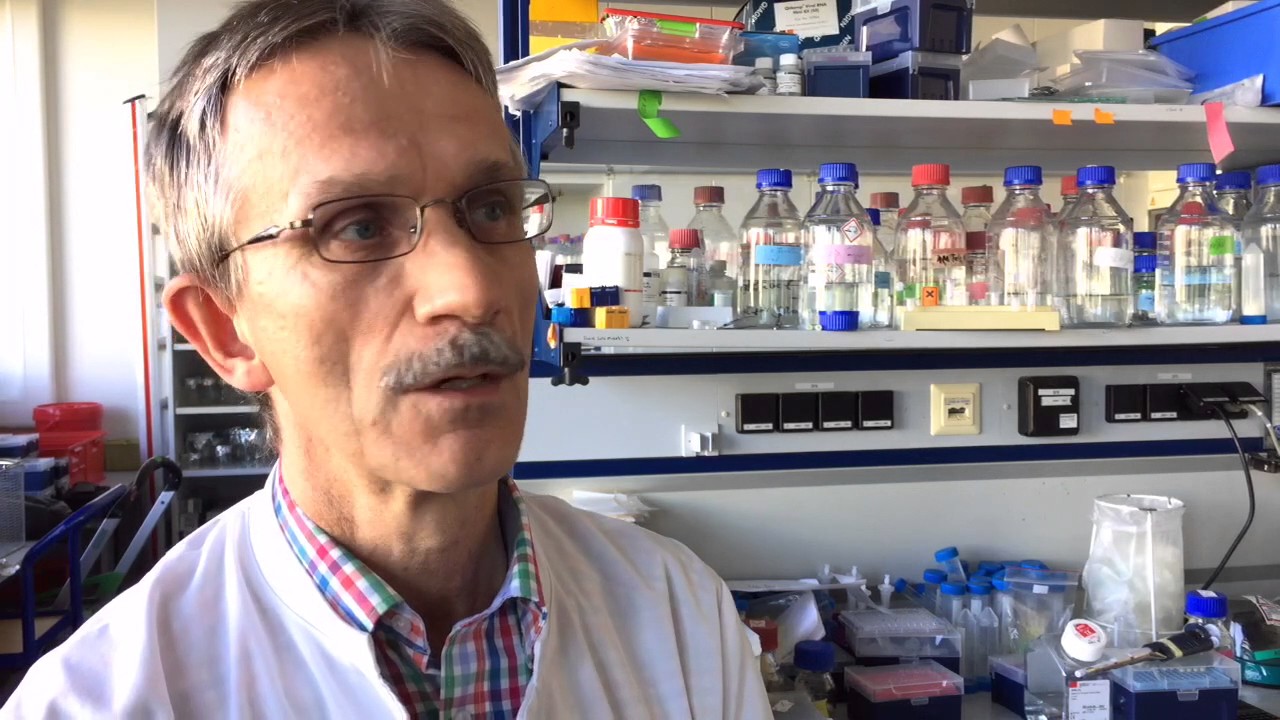 Das sind die wichtigsten Fakten zur Grippeimpfung