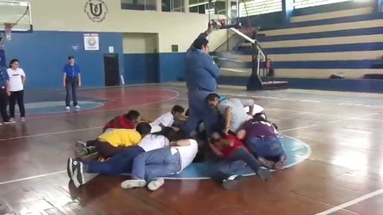 POLLITOS ADENTRO, POLLITOS AFUERA