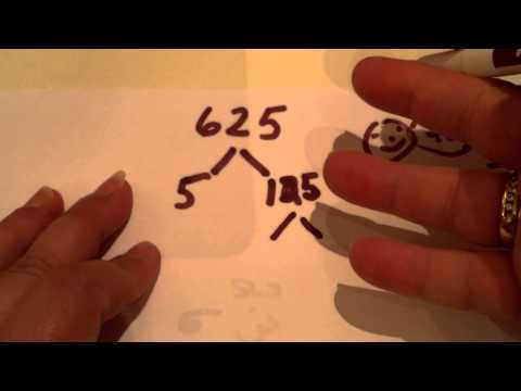 Prime Numbers and Factoring