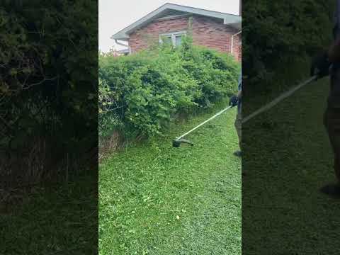 Best WeedEater String Ever