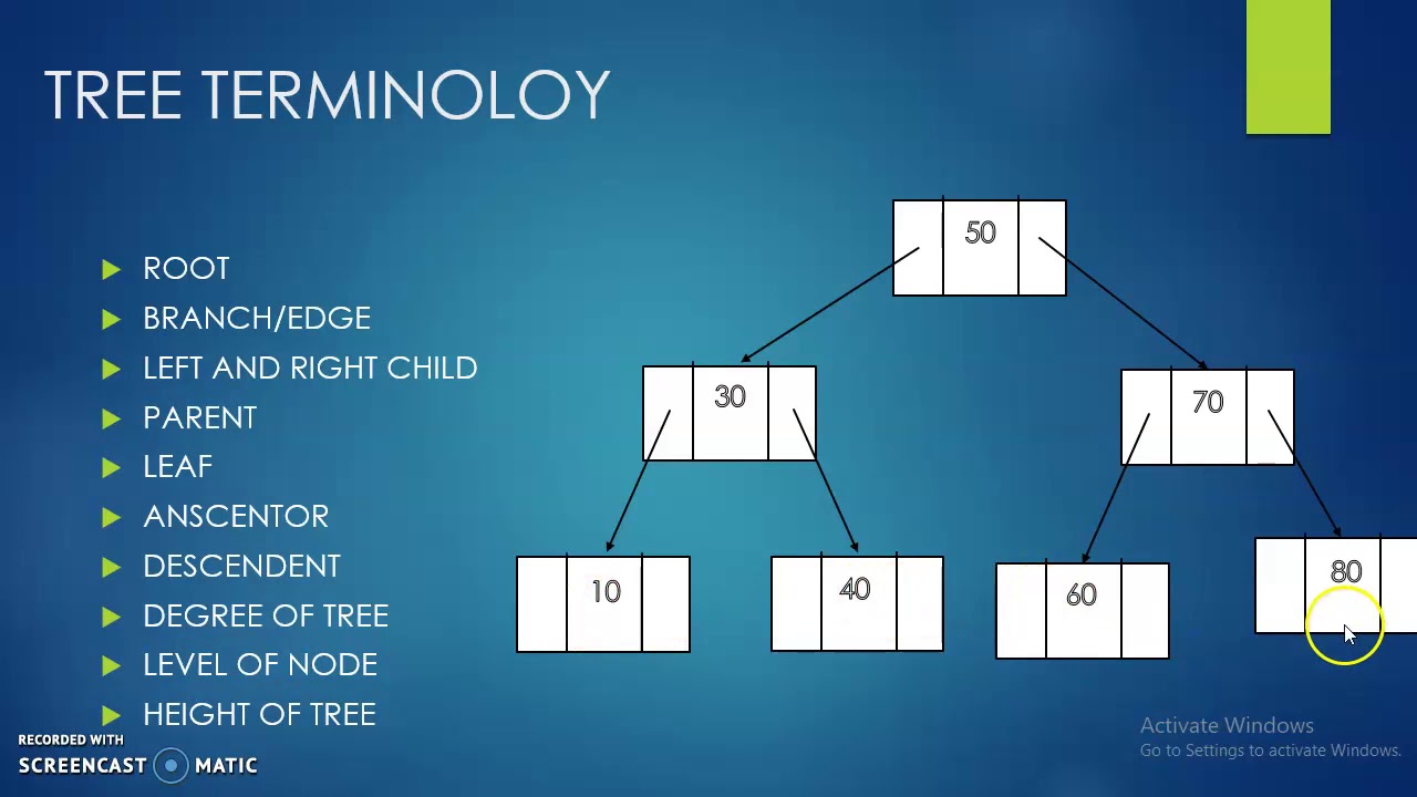 binary tree1