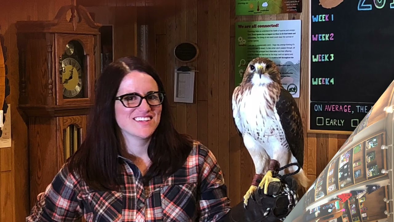 Virtual Tour of Trees For Tomorrow Campus