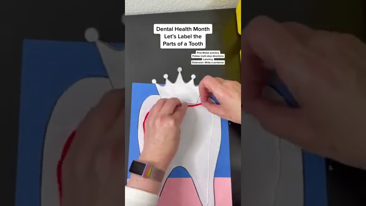 Label the Parts of a Tooth - National Children’s Dental Health Month Hands-on Activity Kindergarten