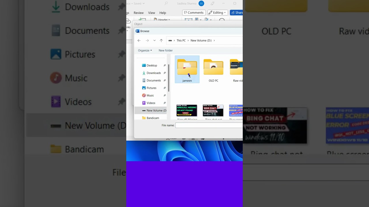 How to Insert a PDF into Microsoft Word